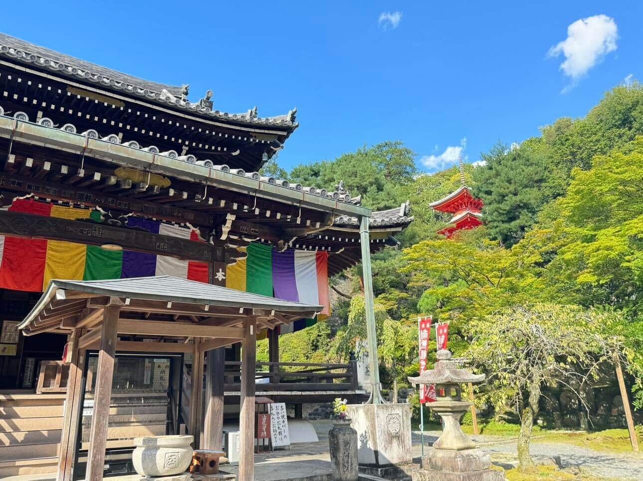 中村薫 の記事一覧 - きょうとくらす